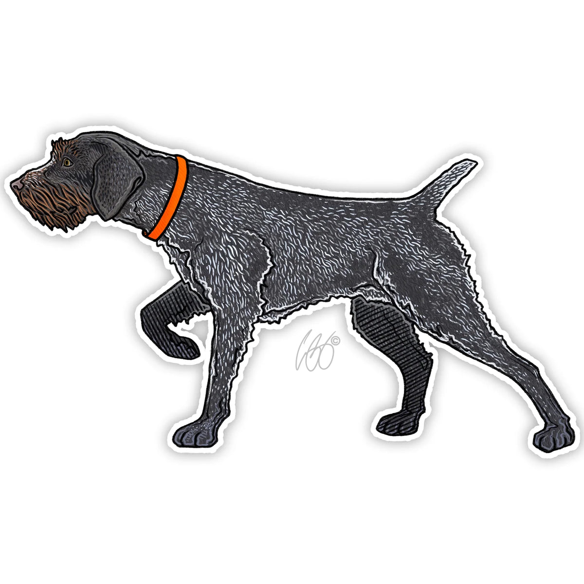 German Wirehaired Pointer Decal – ASHER GOODS Co.